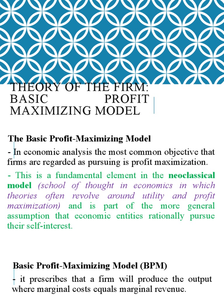 Basic Profit Maximizing Model | PDF | Profit (Economics) | Risk