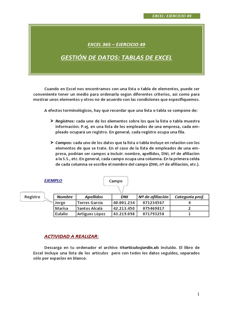 Ejercicio 049 Informatica | Descargar gratis PDF | Microsoft Excel | Informática