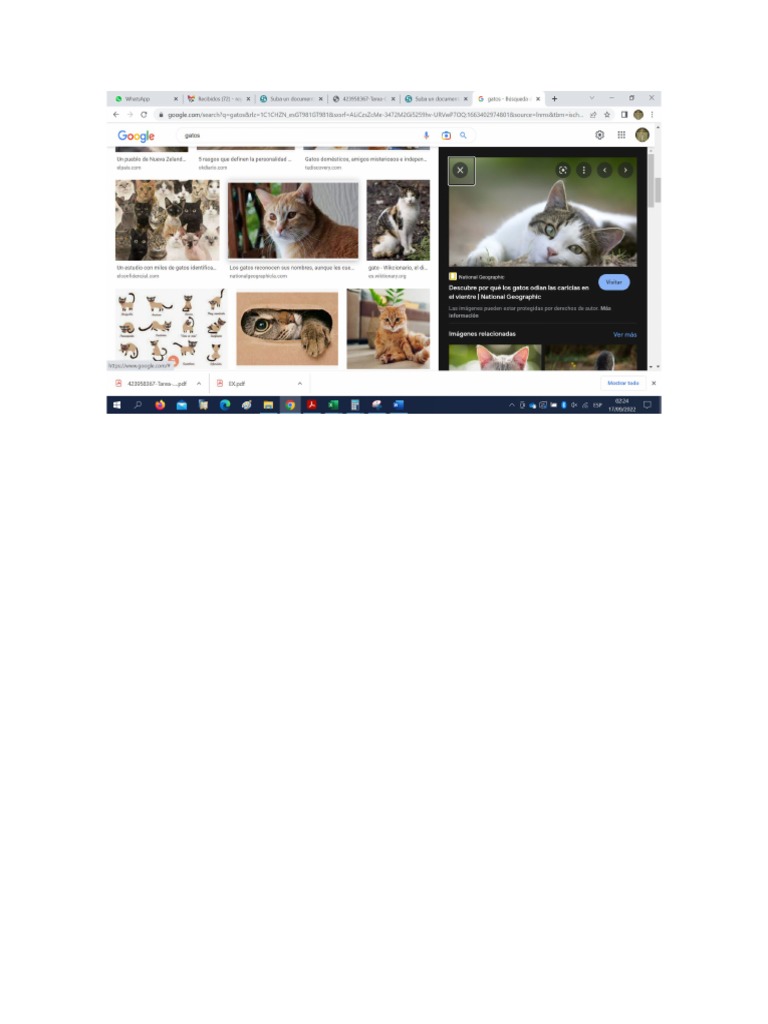 Katito | PDF