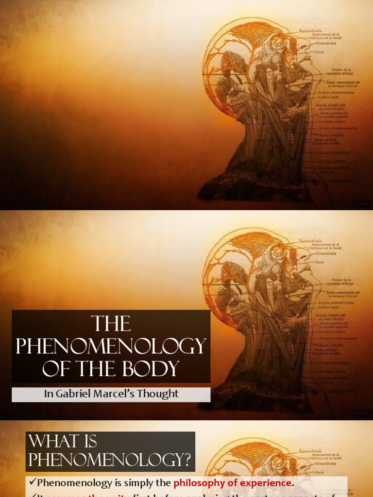 Lecture 4 - The Phenomenology of The Body | PDF | Experience ...