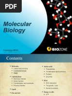 Virtual Microscope by BIONETWORK: Name: - Date | PDF | Microscope ...