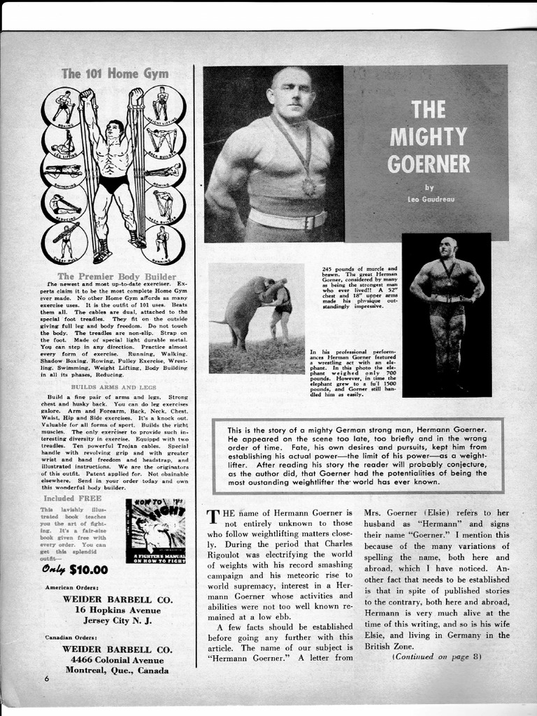 The Mighty Hermann Goerner | PDF