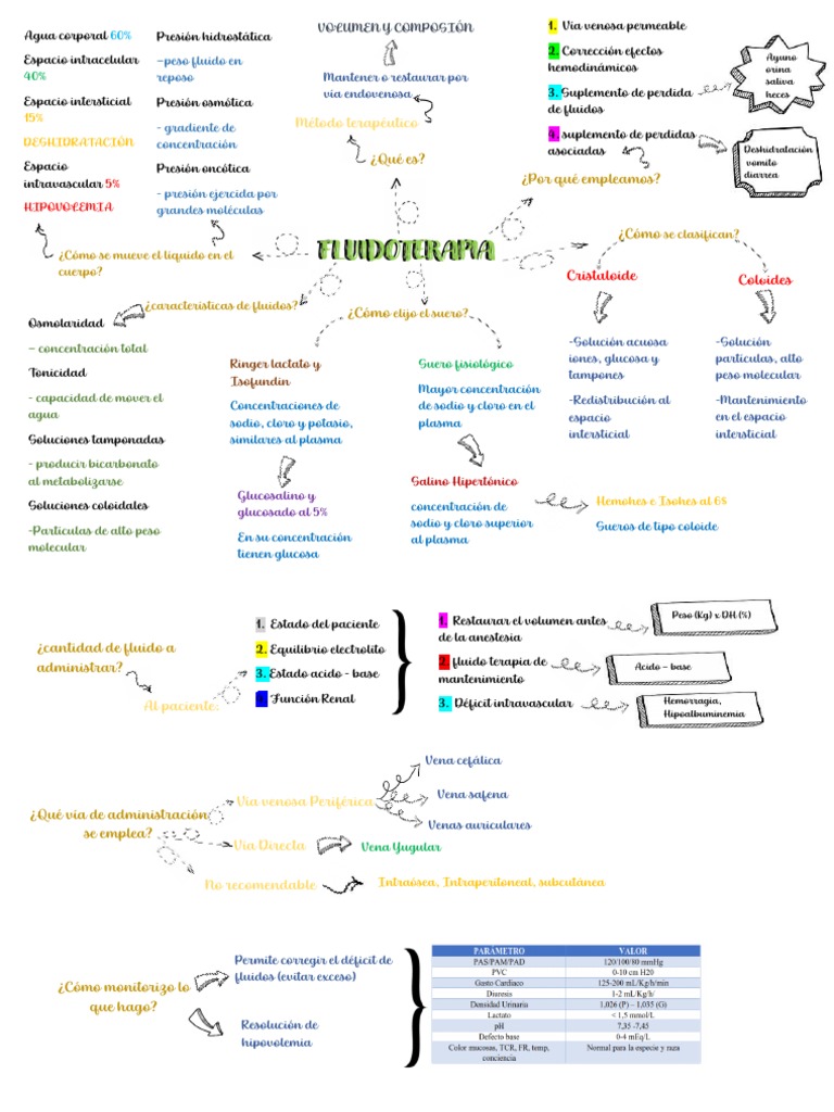Fluidoterapia - Mapa | PDF | Sodio | Terapia intravenosa