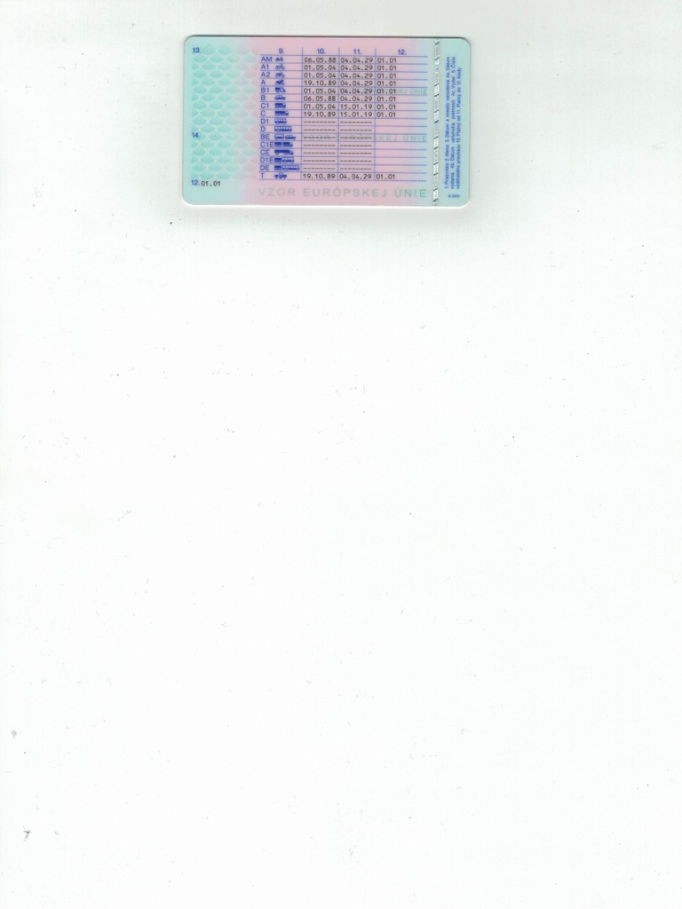 Driving License Back | PDF