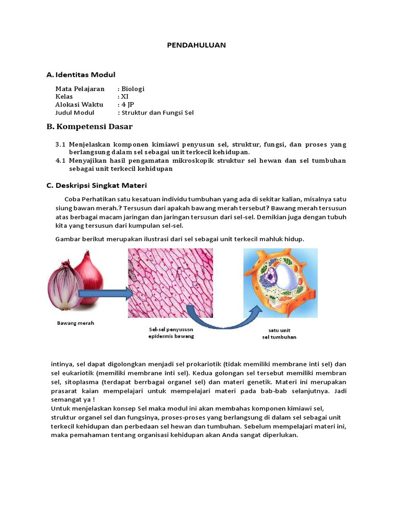 Modul Struktur Sel Bio XI | PDF