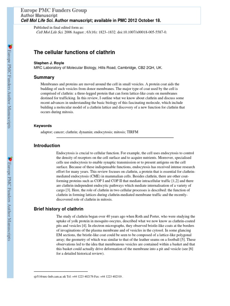 The Celullar Function of Clathrin | PDF | Mitosis | Vesicle (Biology ...
