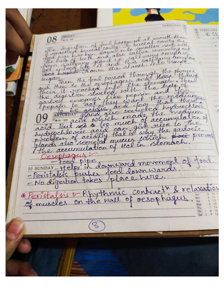 Tuition Notes | PDF