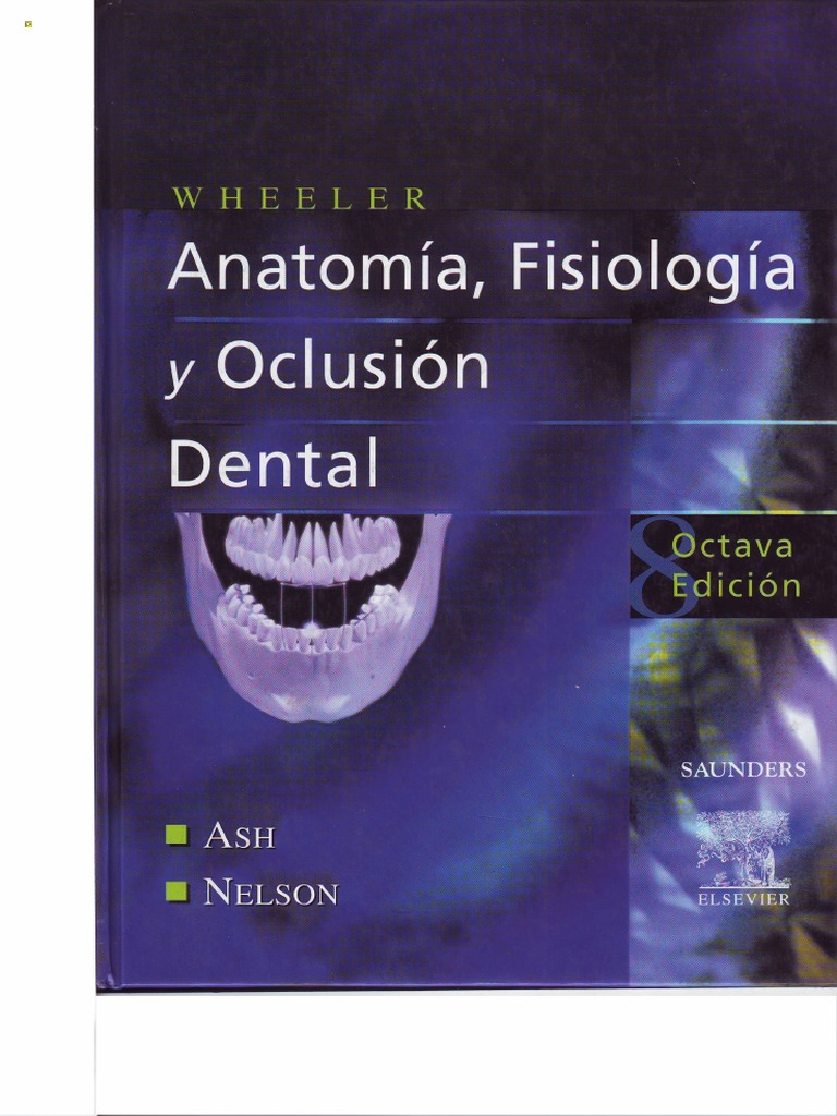 Anatomía, Fisiología y Oclusión Dental - Wheeler | PDF
