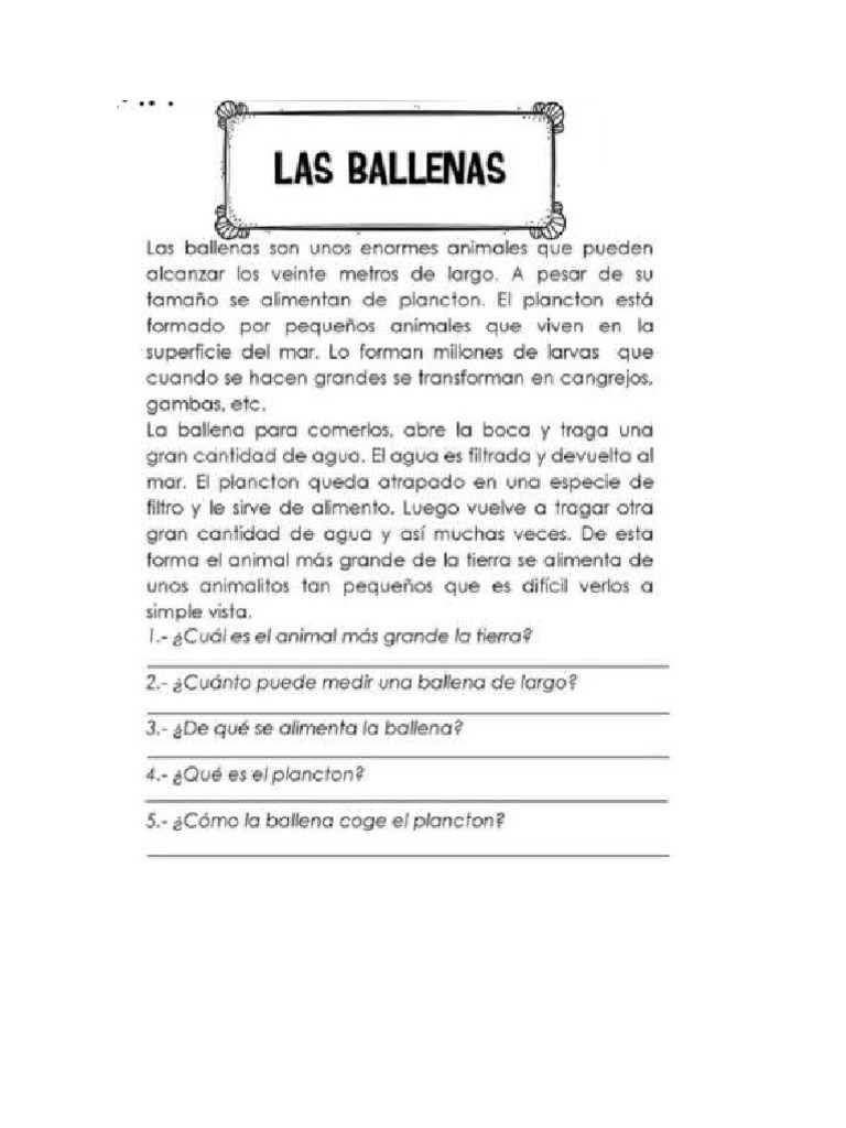 Ballenas | PDF
