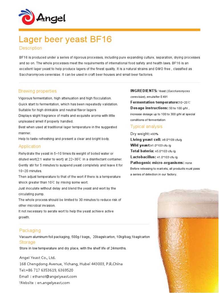 ANGEL YEAST bf-16 | PDF | Brewing | Yeast