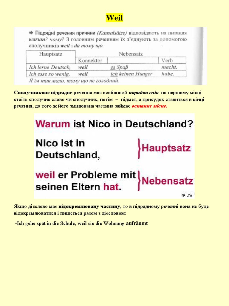 Weil, Deshalb | PDF