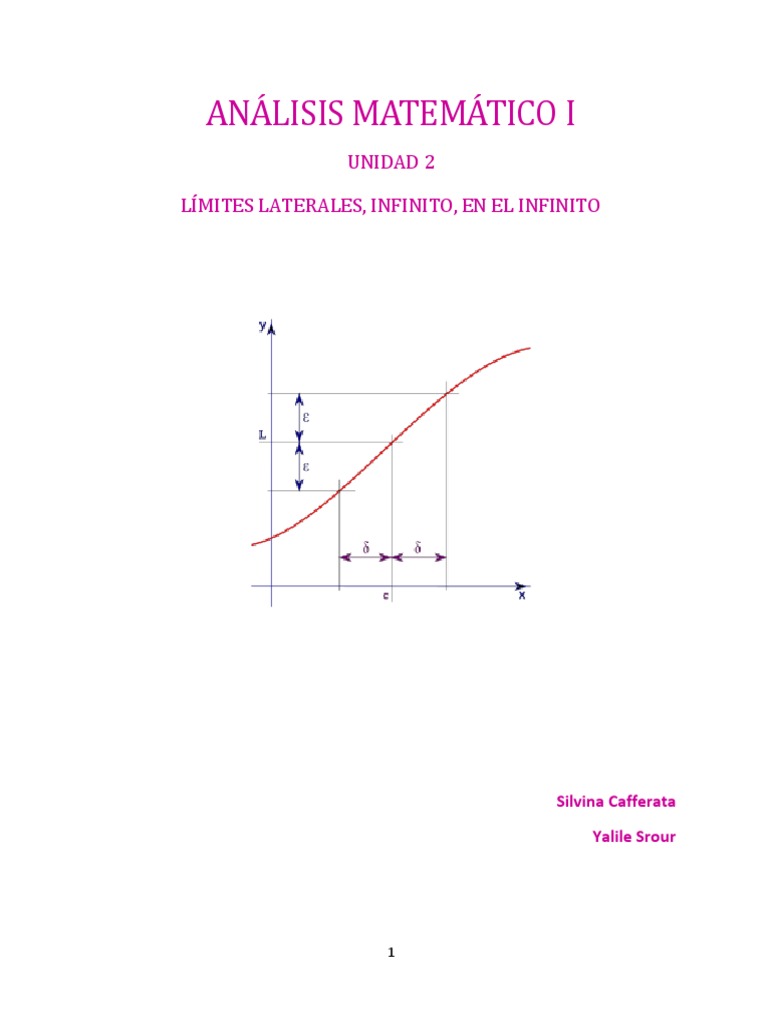 Límites Laterales e Infinito en Funciones | PDF | Función (Matemáticas ...