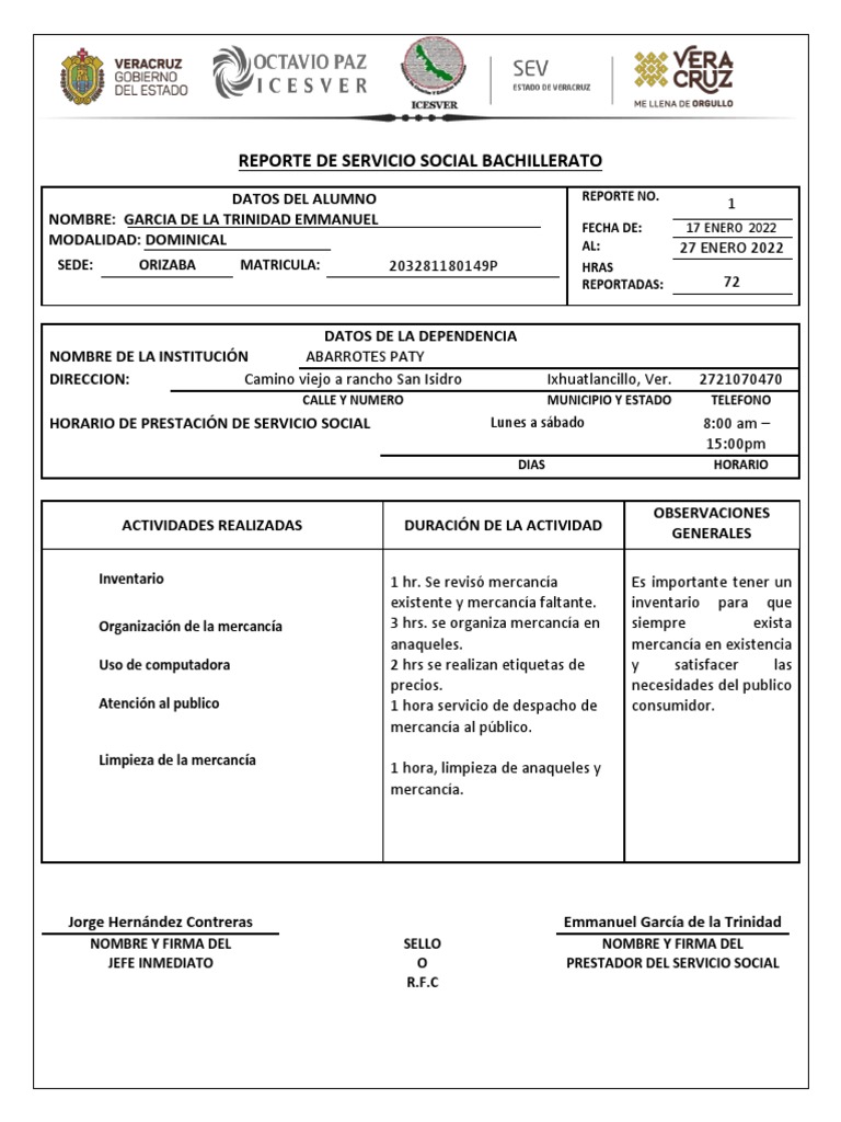 Reporte Mensual de Servicio Social Preparatoria | PDF