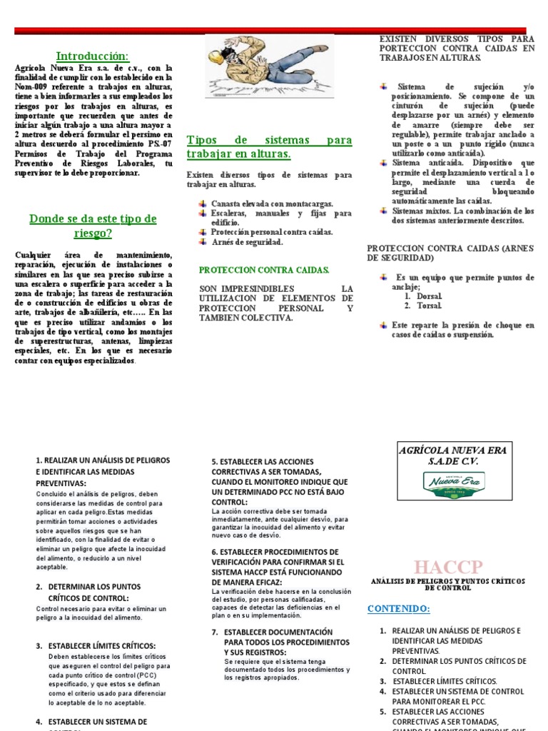 Haccp Triptico Explicacion Puntos | PDF | Análisis de Riesgo y Puntos Críticos de Control