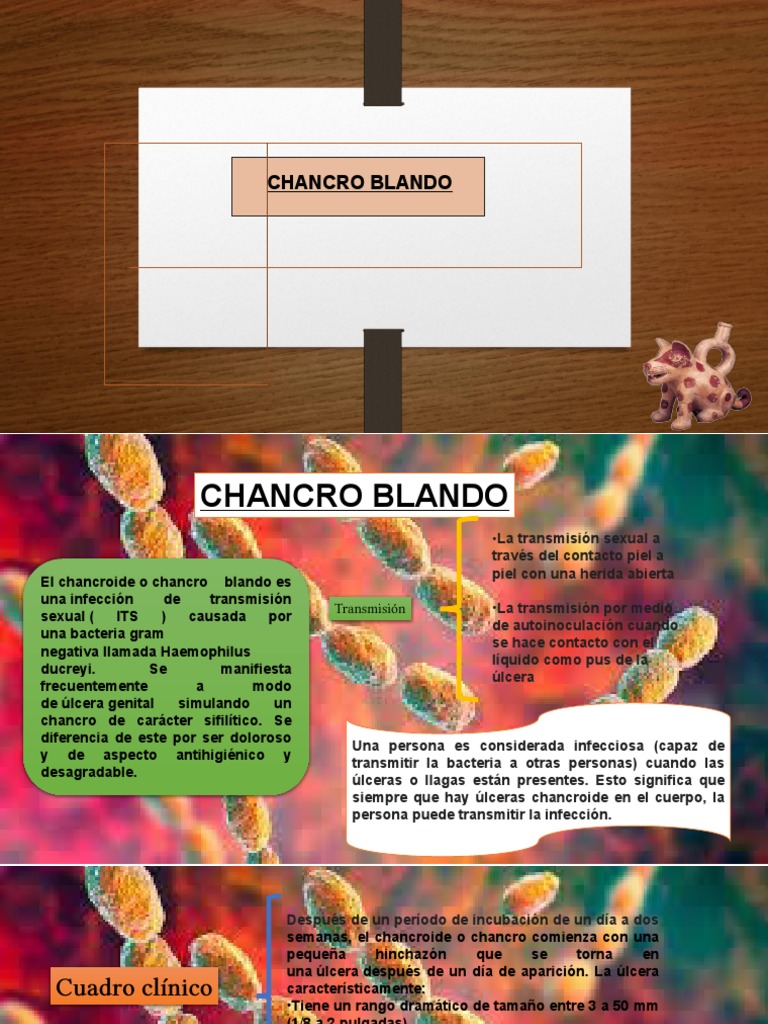 Chancro Blanco | PDF | Medicina CLINICA | Enfermedades e infecciones de ...