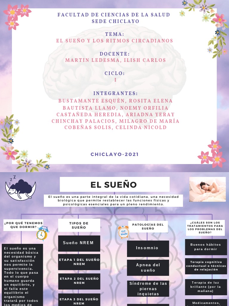 El Sueño y Los Ritmos Circadianos | PDF | Ritmo circadiano | Biología