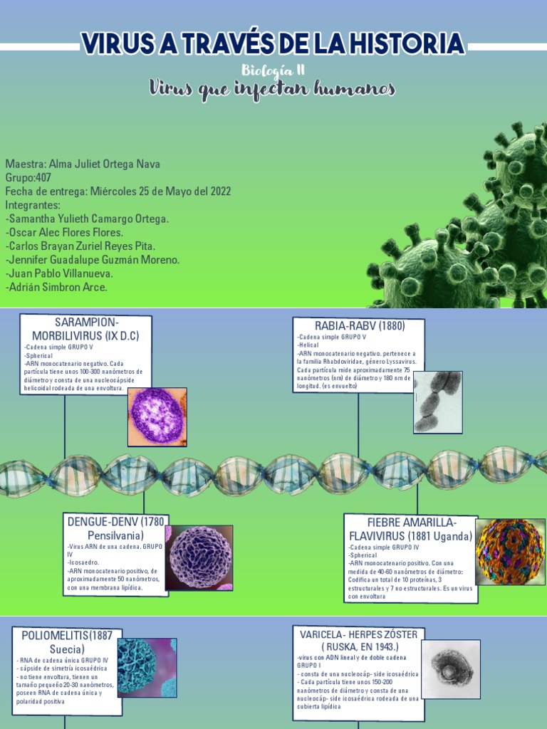 Virus A Traves de La Historia-Documento | PDF | Virus | Influenza