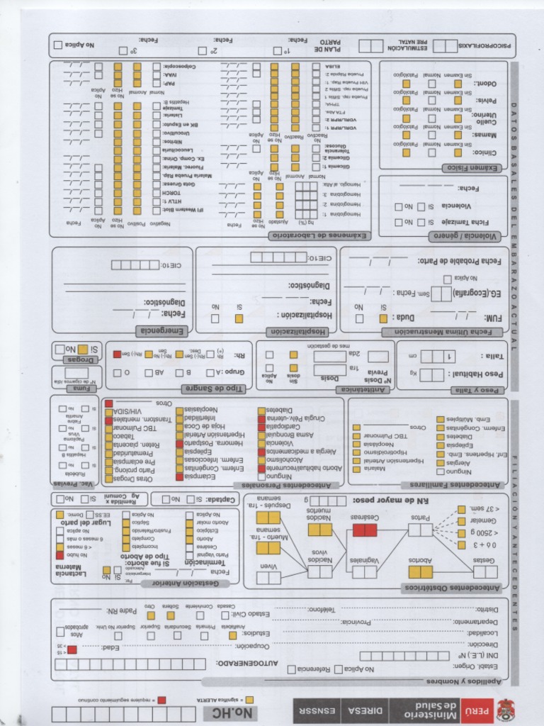 Carnet Perinatal Cara 1 | PDF