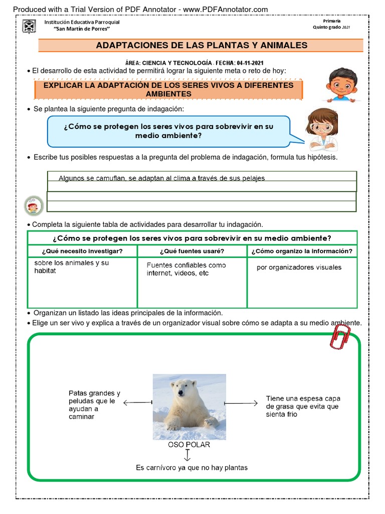 04-11-Cyt-Adaptaciones de Las Plantas y Animales | PDF | Hipótesis ...