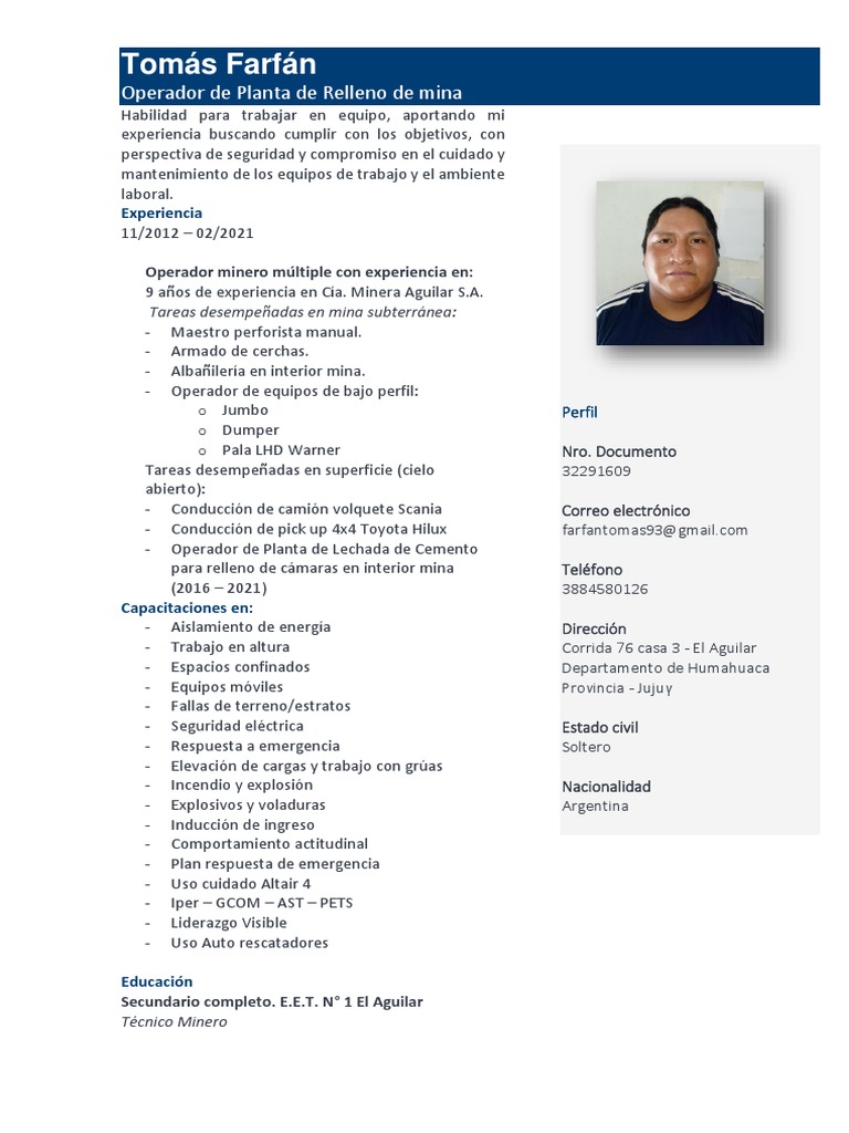 Curriculum Vitae Tomas Farfan22 - 1 | PDF | Minería