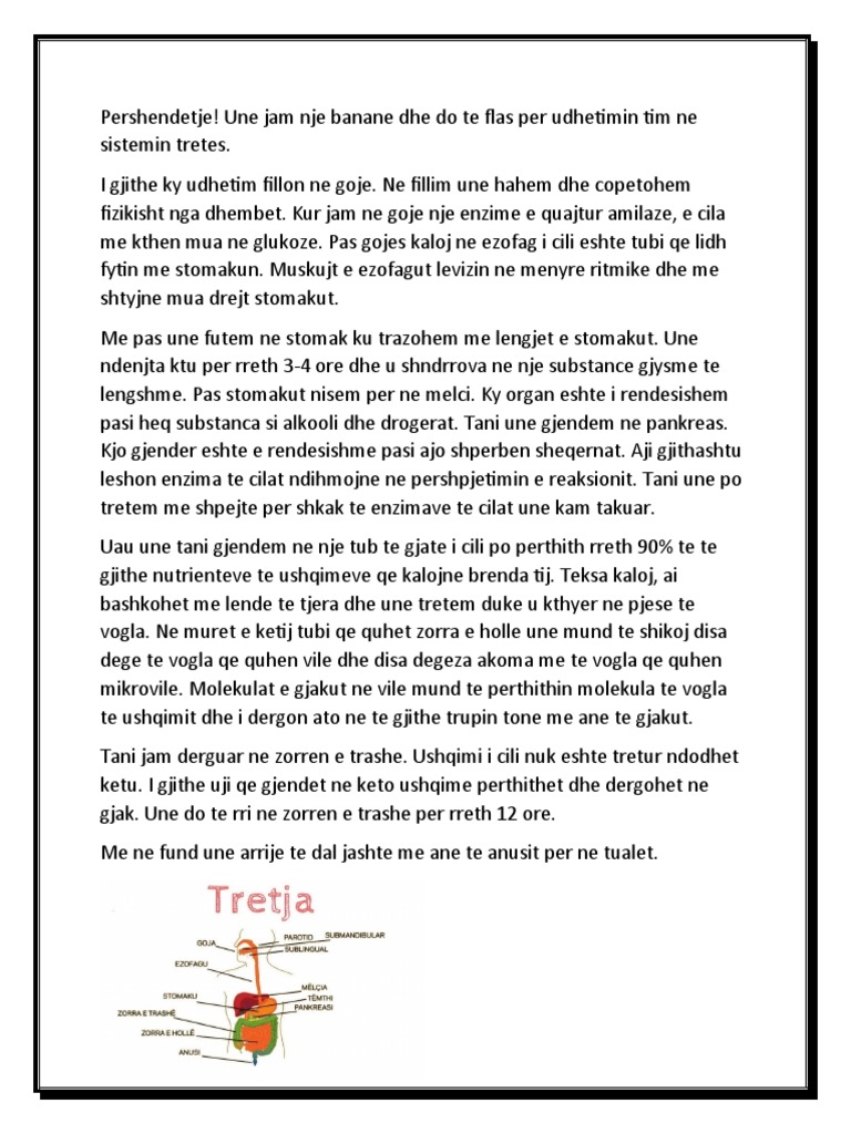 Udhetim Ne Sistemin Tretes | PDF