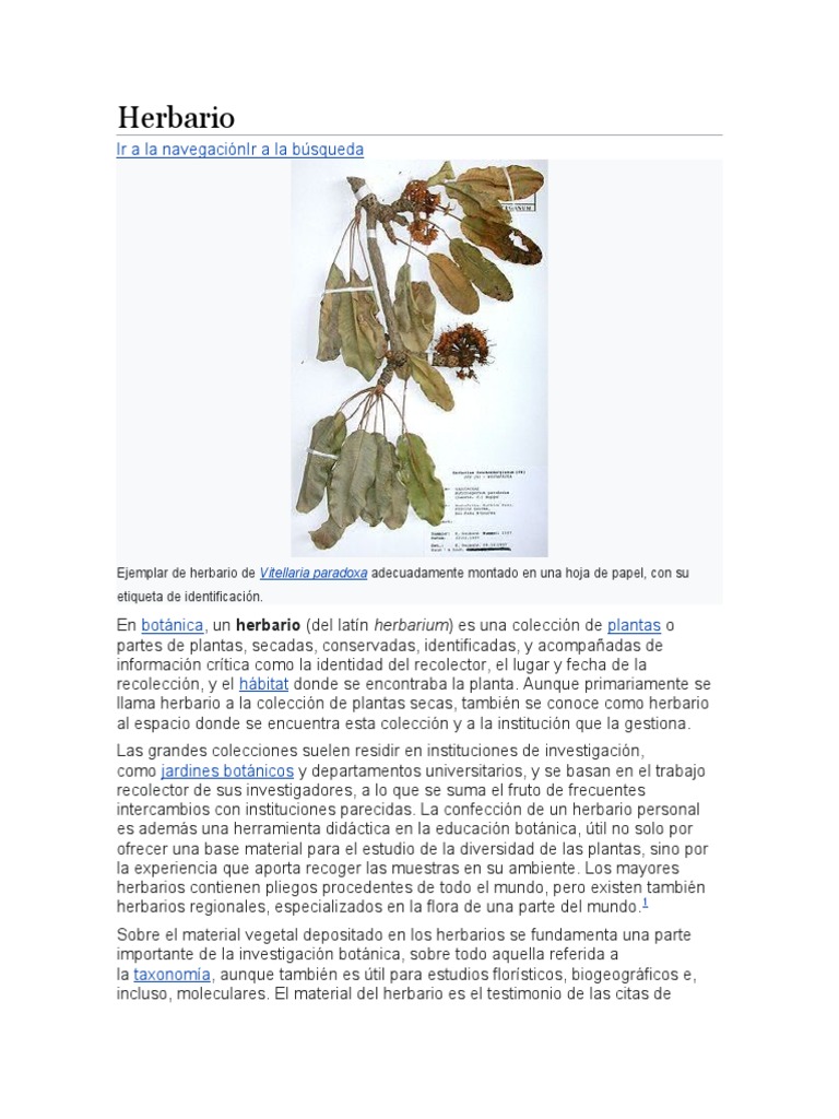 Herbario | PDF | Plantas | Science