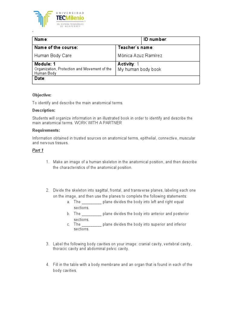 Activity 1-My Human Body Book | PDF | Anatomical Terms Of Location ...