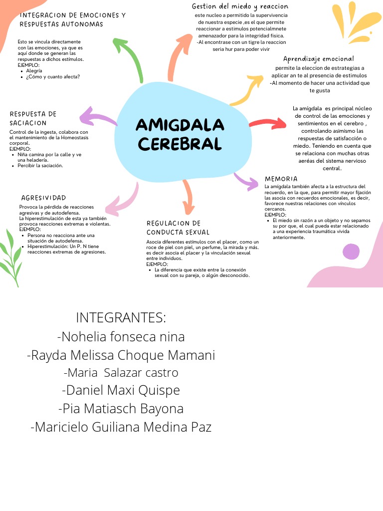 Amígdala Cerebral Pdf Las Emociones Amígdala