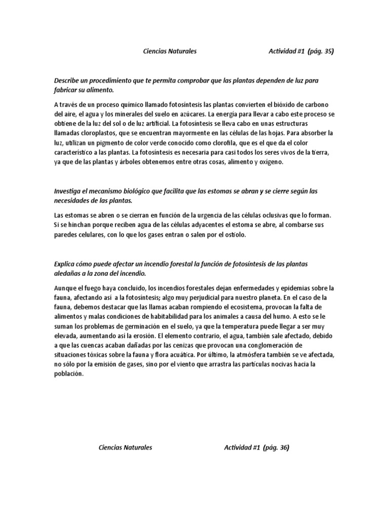 Ciencias Naturales MIMI Actividad | PDF | Fotosíntesis | Tallo de la planta