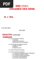 Anatomie du Corps Géniculé Latéral | PDF | Système visuel | Vision