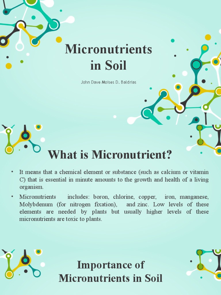 Micronutrients in Soil - J.D.M. | PDF