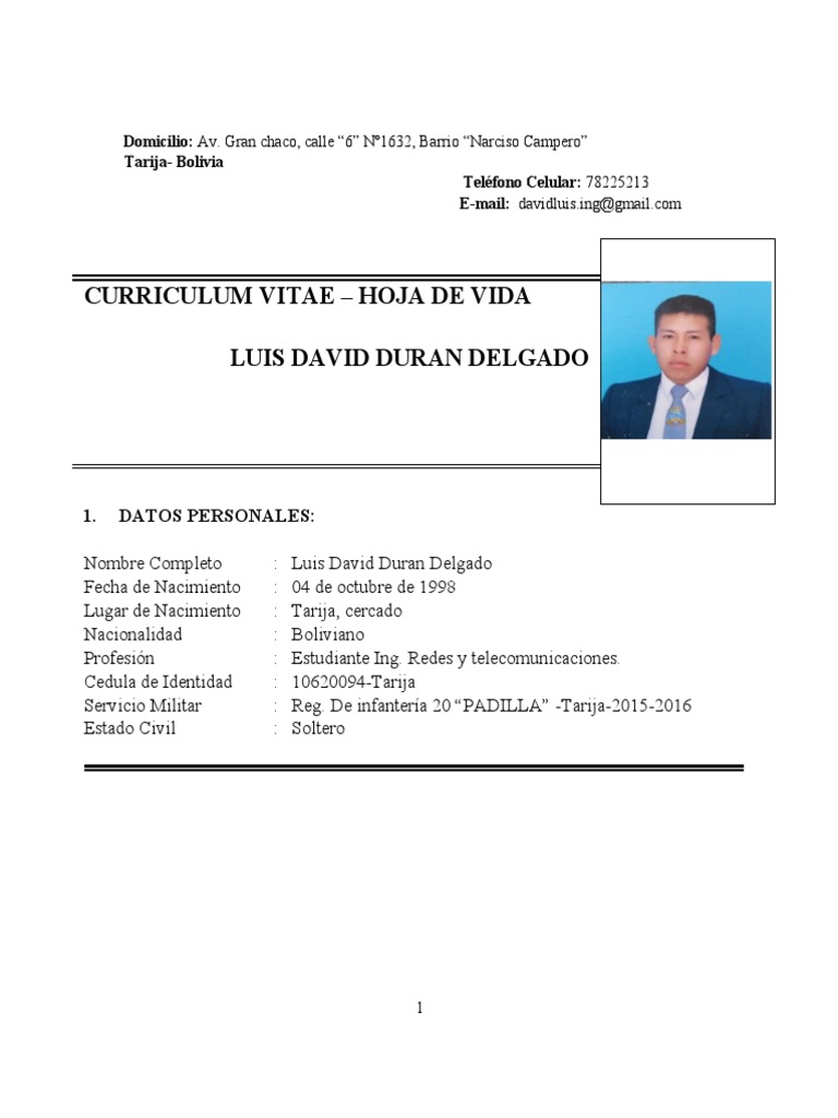Curriculum Vitae de Luis David Duran | PDF