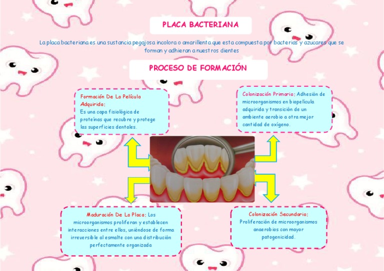 Placa Bacteriana Esquema. | PDF