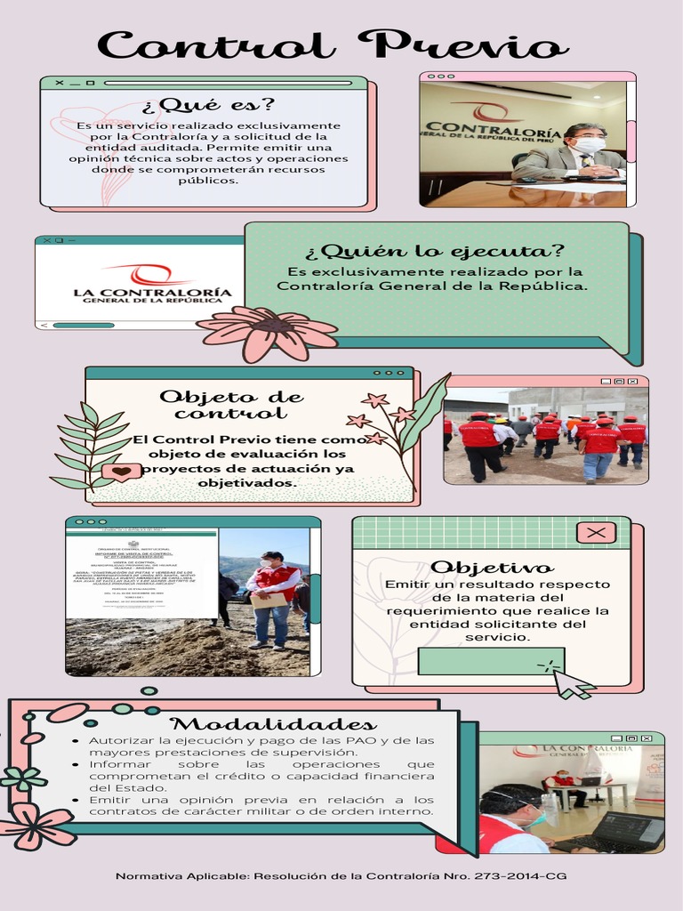 Infografía - Control Previo | PDF