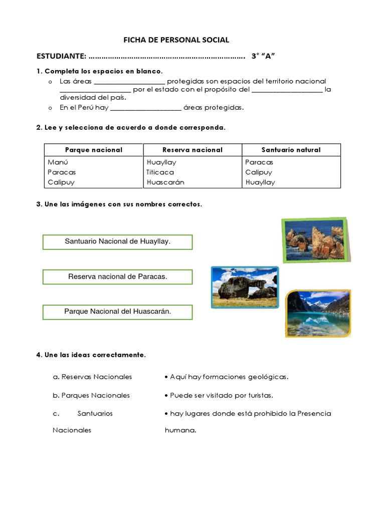 Ficha PS 15 Set | PDF