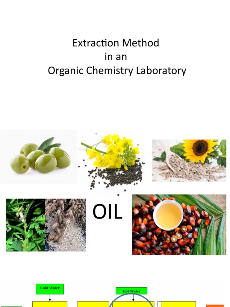 Steam Distillation Lab Instruction | PDF