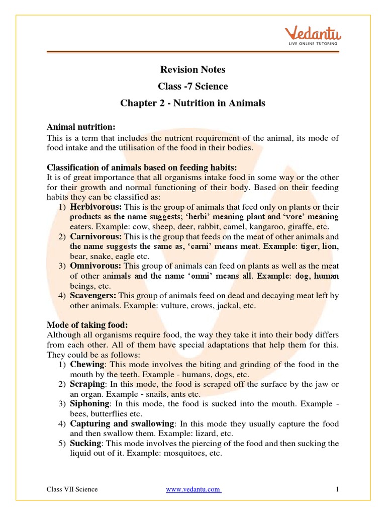 Nutrition in Animals - Class 7 Notes | PDF | Digestion | Stomach