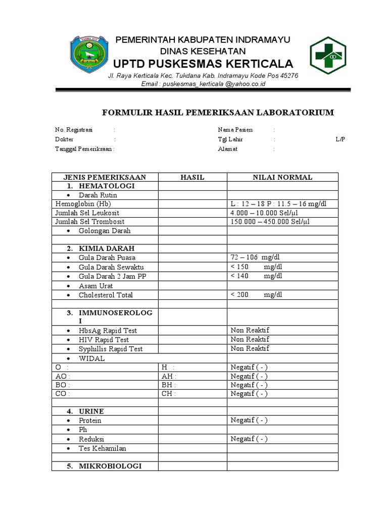 Format Hasil Lab | PDF