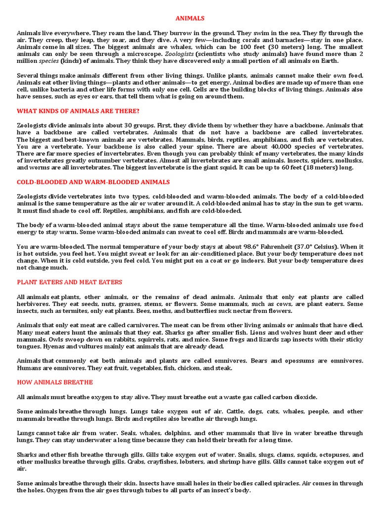 Animals | Download Free PDF | Invertebrate | Gill