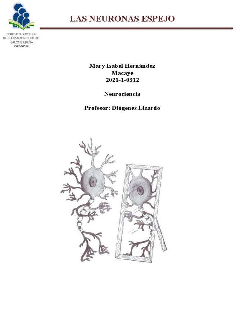 Las Neuronas Espejo | PDF | Corteza cerebral | Cerebro