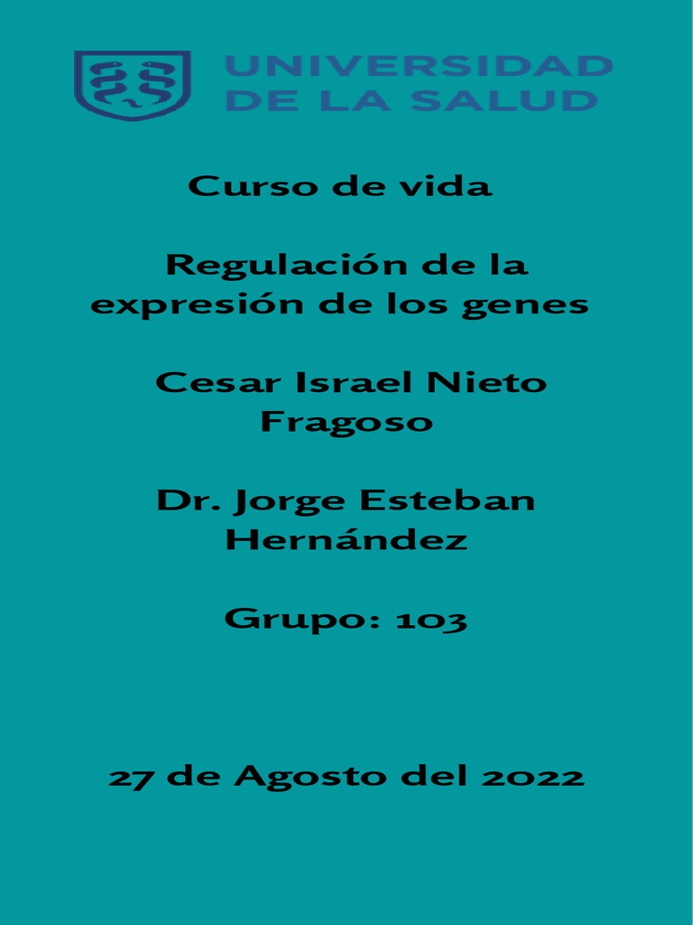 CVI-S3-A1-S (C, I) - Cesar Israel - Nieto - Fragoso. | PDF | La ...