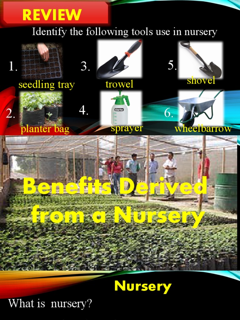 Tools and Benefits of Nursery Operations: A Review of Key Equipment ...