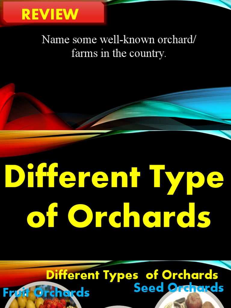 Types of Orchards and Planting Methods | PDF | Trees | Orchard