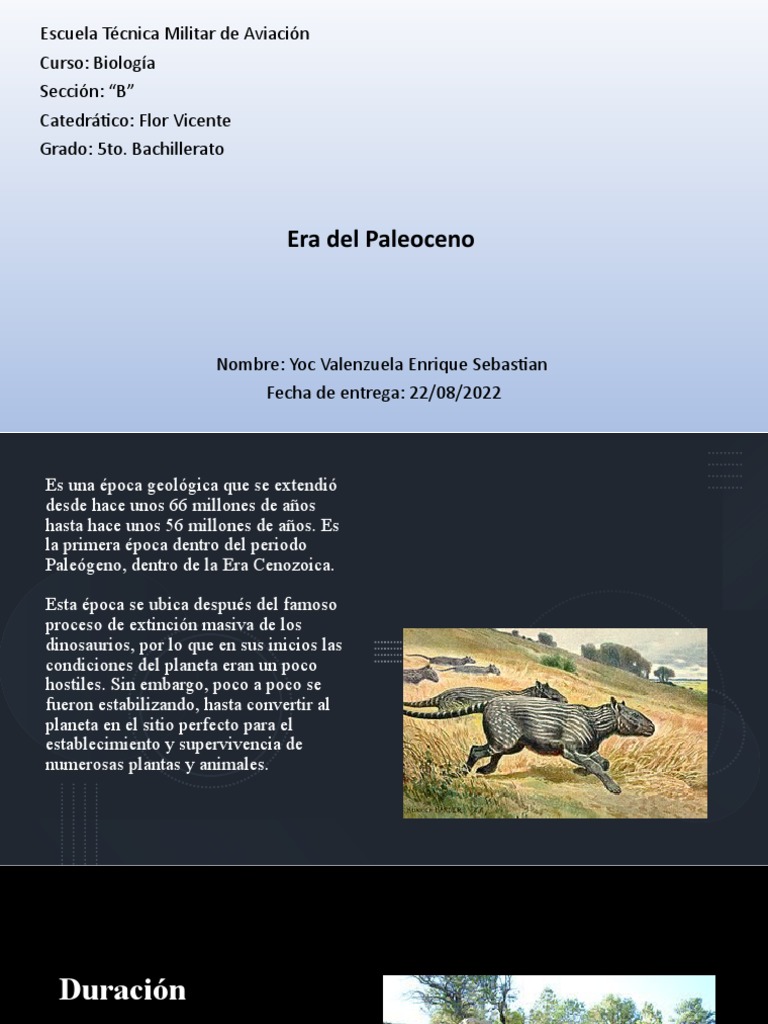 Fauna y Clima del Paleoceno | PDF | Naturaleza | Ciencias de la Tierra