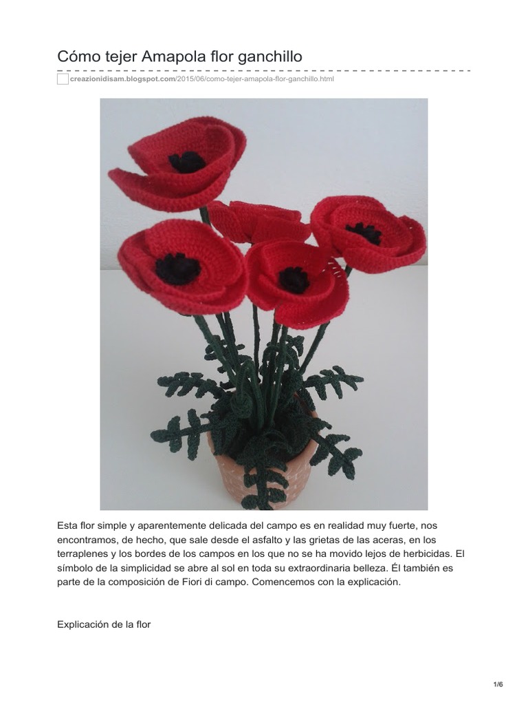 Amapola Flors | PDF | Flores