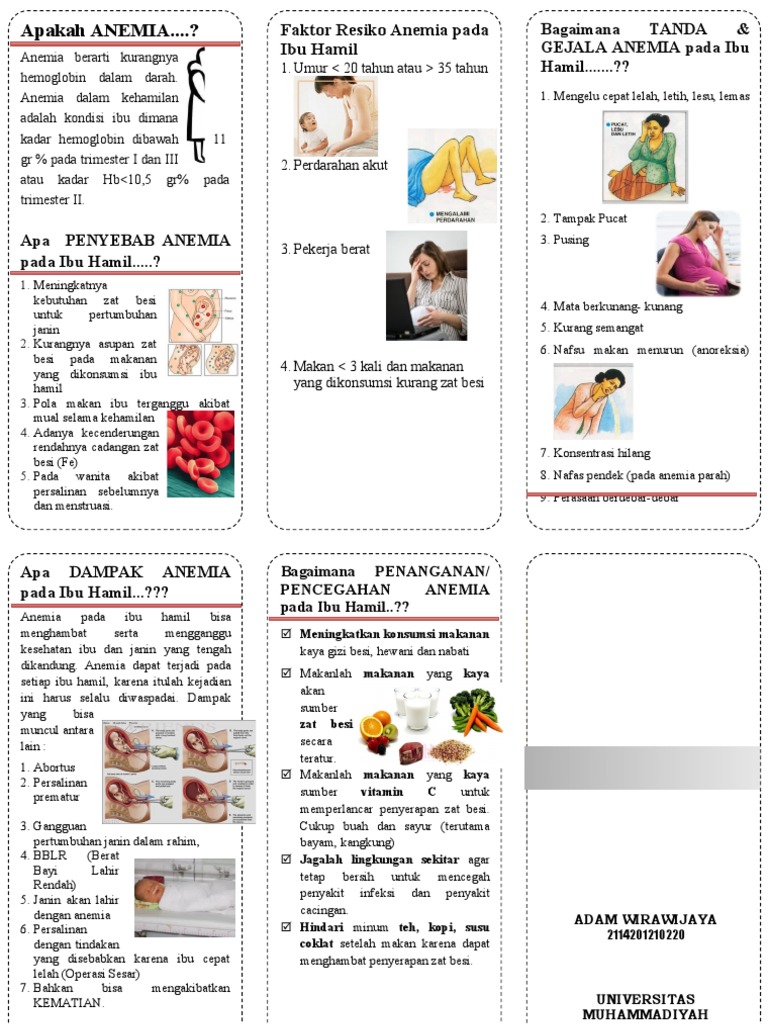 LEAFLET ANEMIA Adam Wirawijaya RPL s1 | PDF