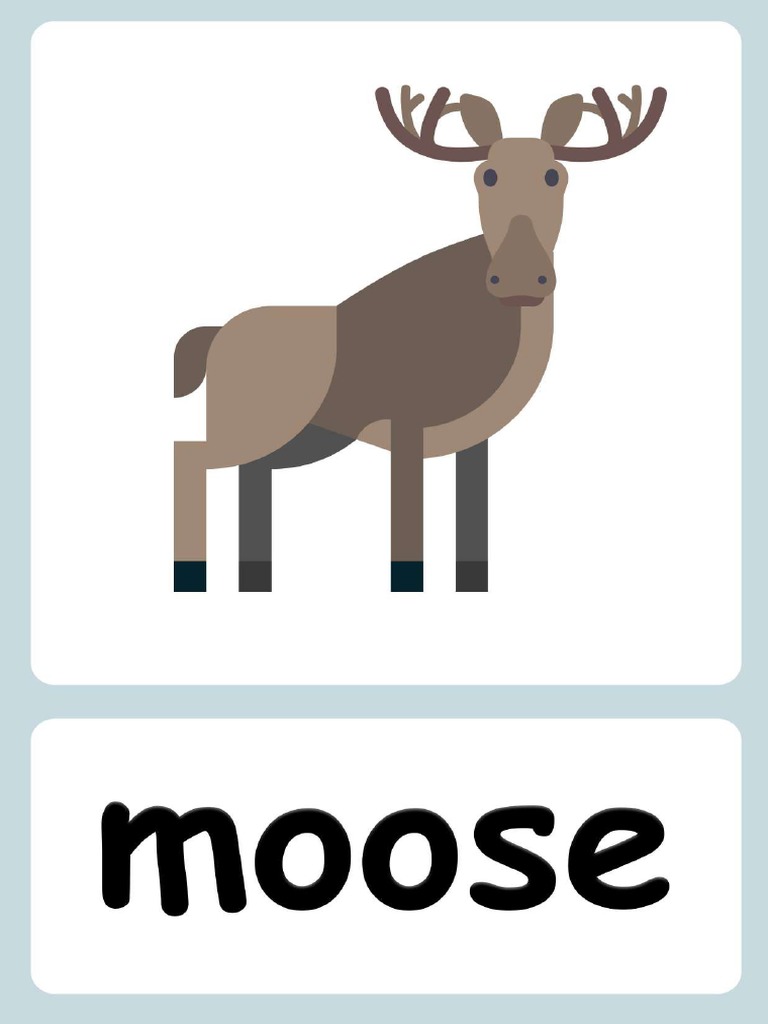 Moose Flashcard For Kids | PDF