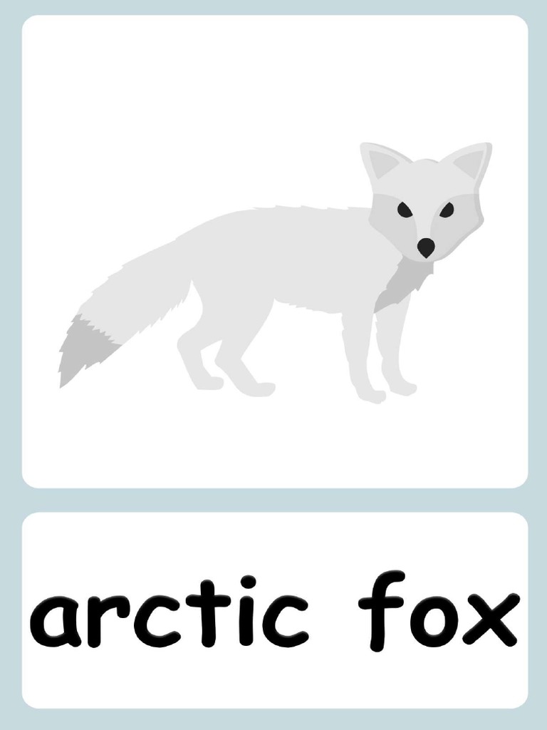 Artic Fox Flashcard For Kids | PDF