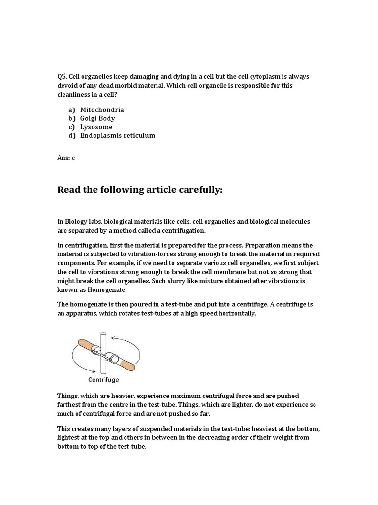 Class 9th MCQs | PDF | Cell (Biology) | Eukaryotes