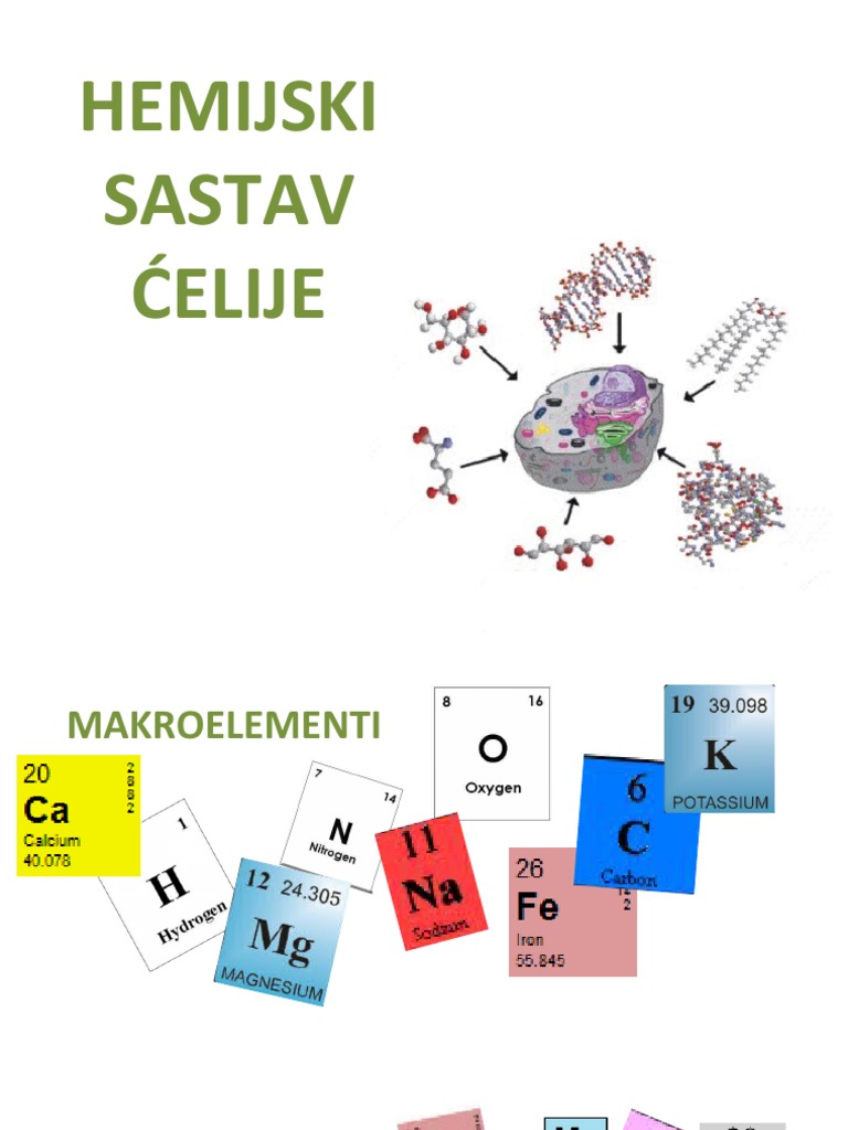 Hemijski Sastav Celije | PDF